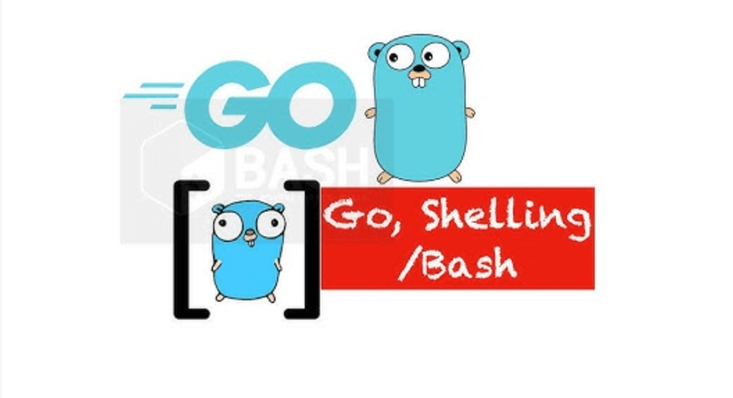 Golang 执行bash命令的 3 种方法 嘻嘻it 7765
